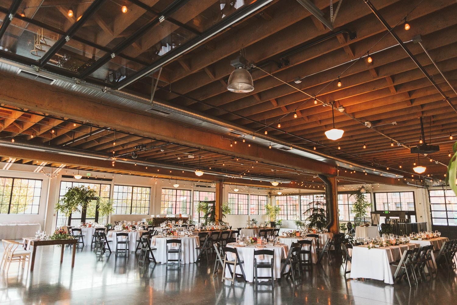 Venues - Elephants Delicatessen