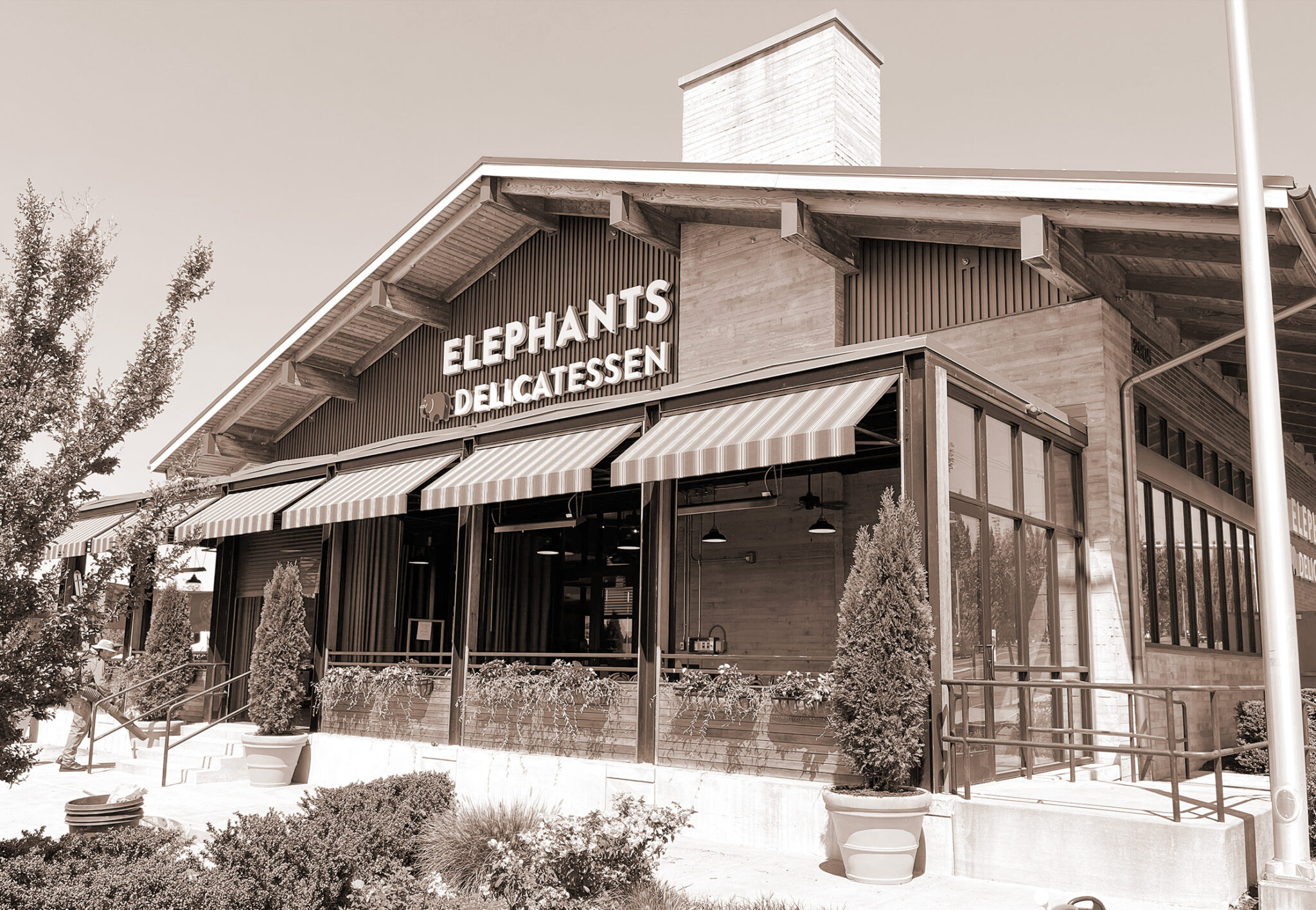 History of Elephants Delicatessen in Portland Oregon